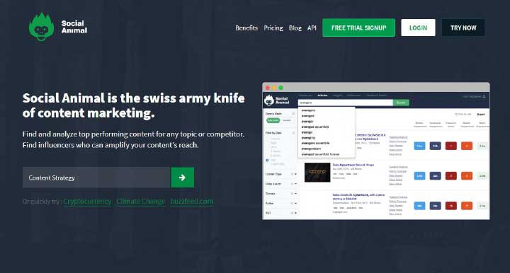 5 Must-Have Branding Tools for Newbie Marketers - IG Webs